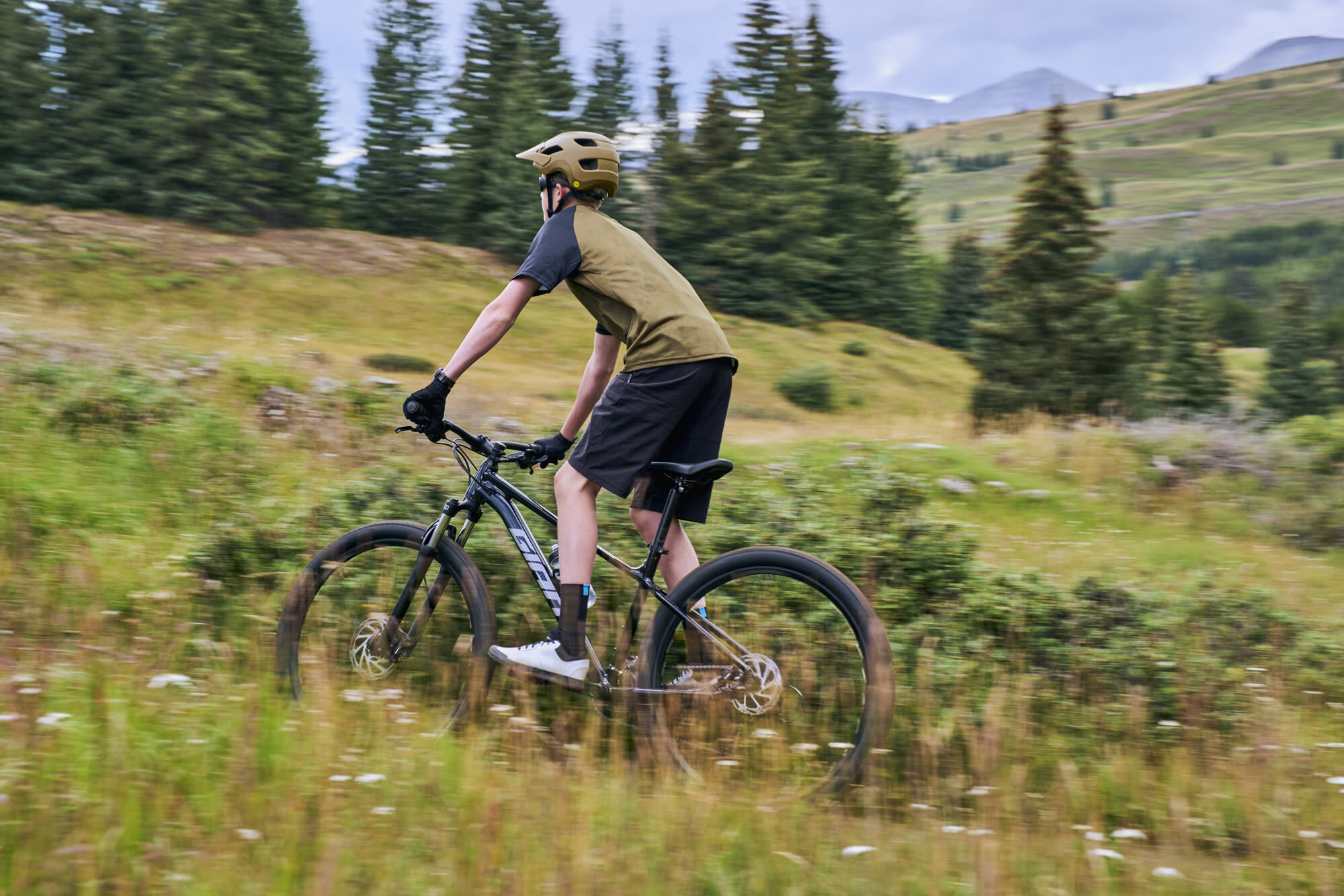 Giant Talon 3 Panther 2025 :: £518.00 :: Mountain Bikes :: Hardtail ...