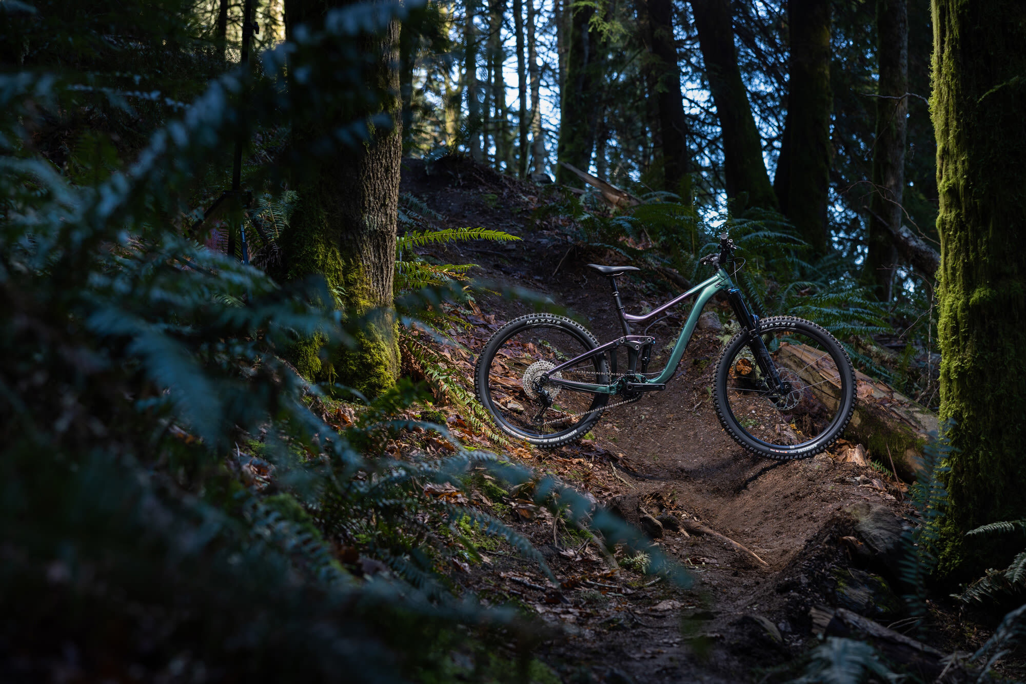Giant Reign 2 Mineral Green 2025 :: £3499.00 :: Mountain Bikes :: Full ...