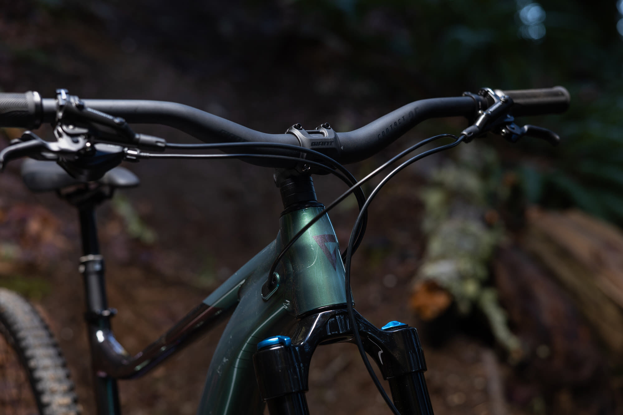 Giant Reign 2 Mineral Green 2025 :: £3499.00 :: Mountain Bikes :: Full ...